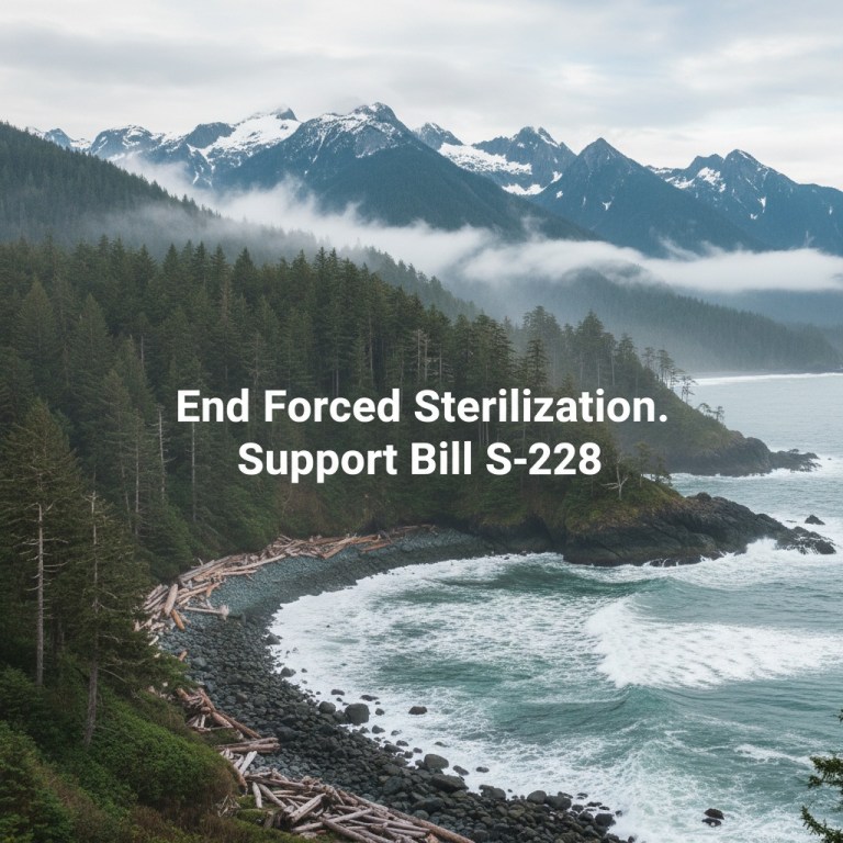 Embracing Our Indigenous Identity in 2025: Part 2 of 5-Contemporary ...